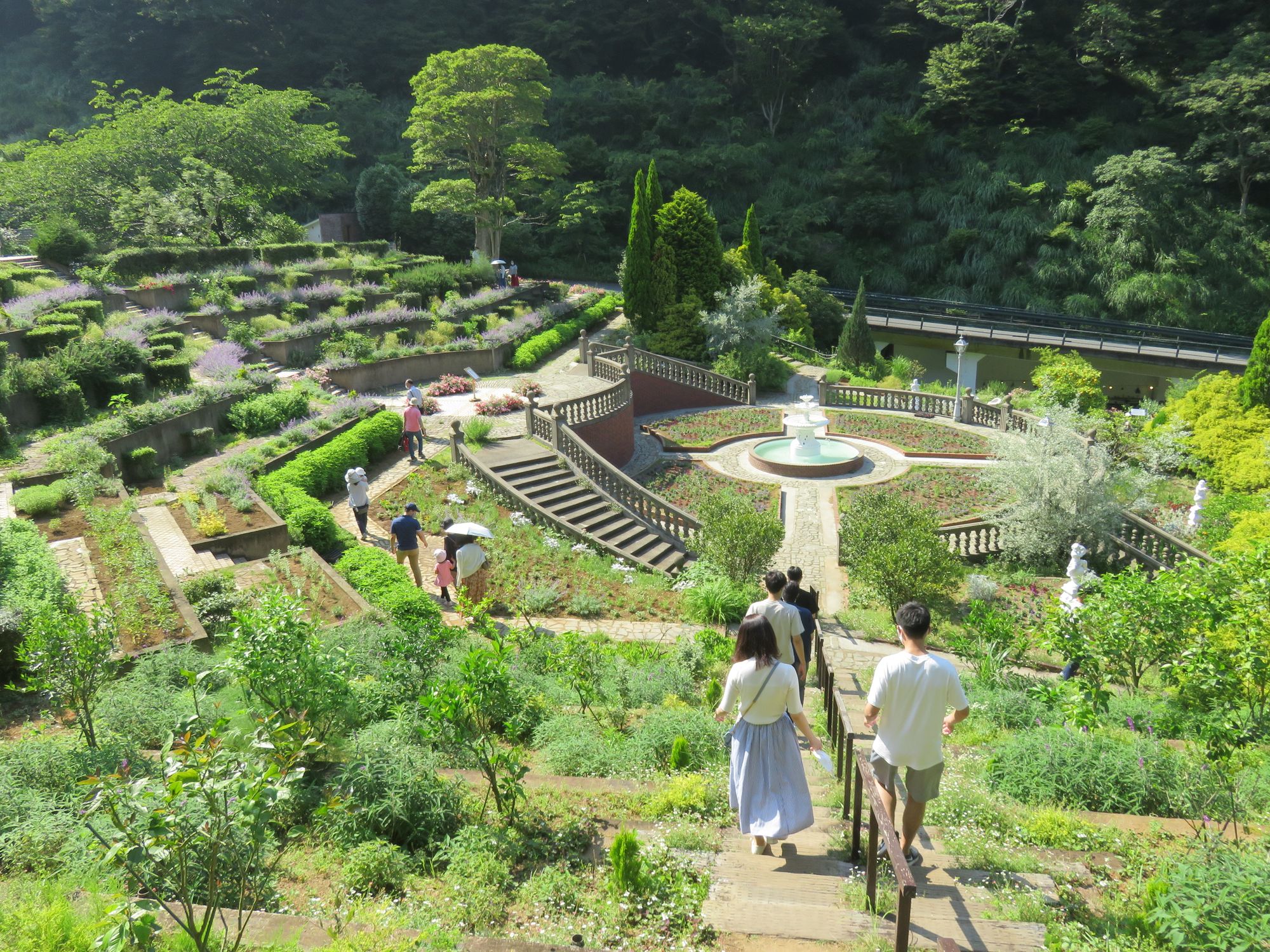 Atami Akao Herb and Rose Garden - TravelFeed